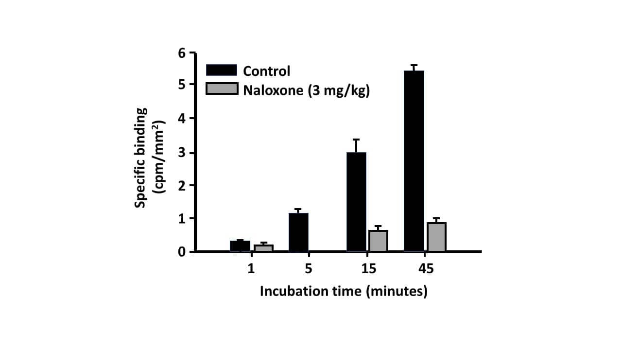 Receptor Occupancy Services - Gifford Bioscience