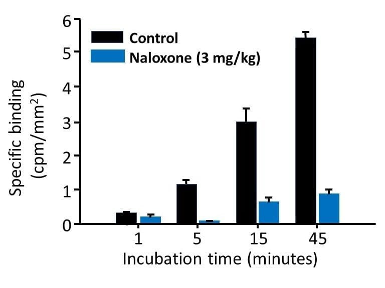 Receptor Occupancy Services - Gifford Bioscience