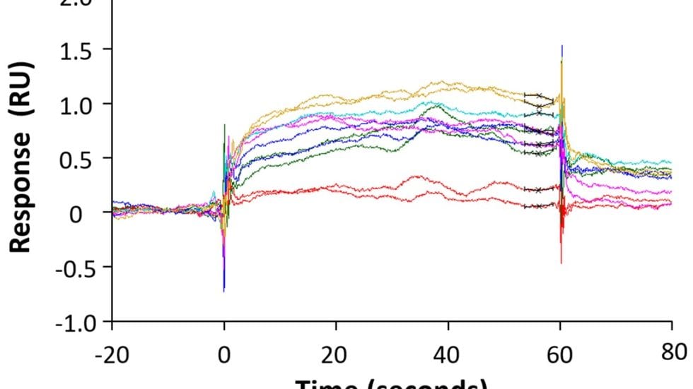 SPR (Biacore) Assay Services - Gifford Bioscience