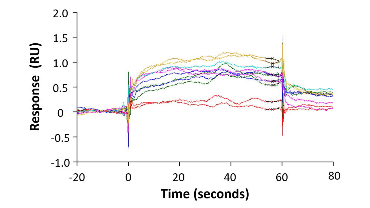 SPR (Biacore) Assay Services - Gifford Bioscience