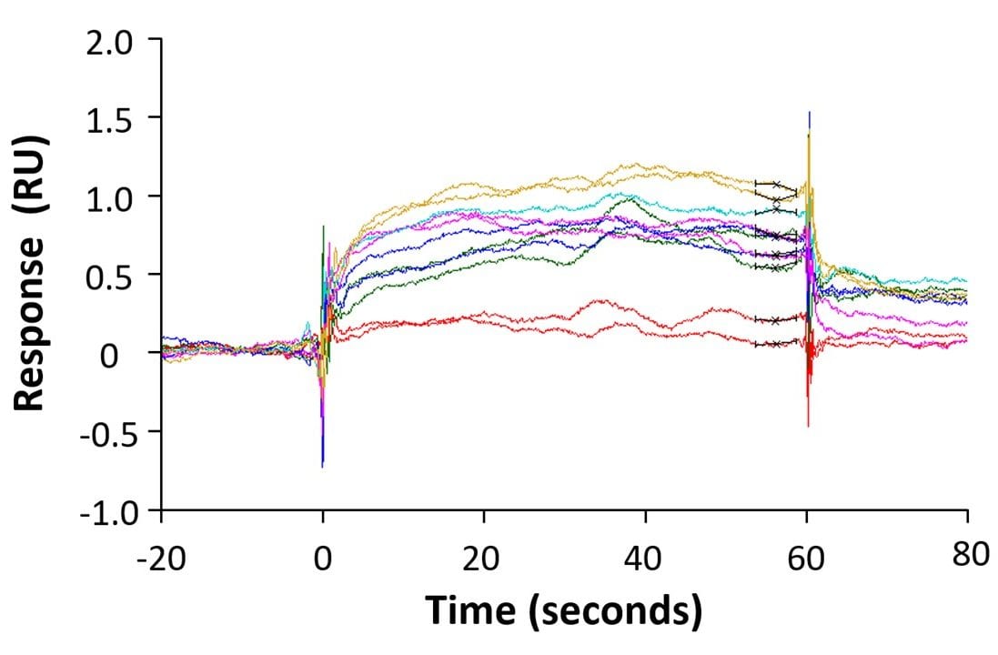 SPR (Biacore) Assay | Gifford Bioscience