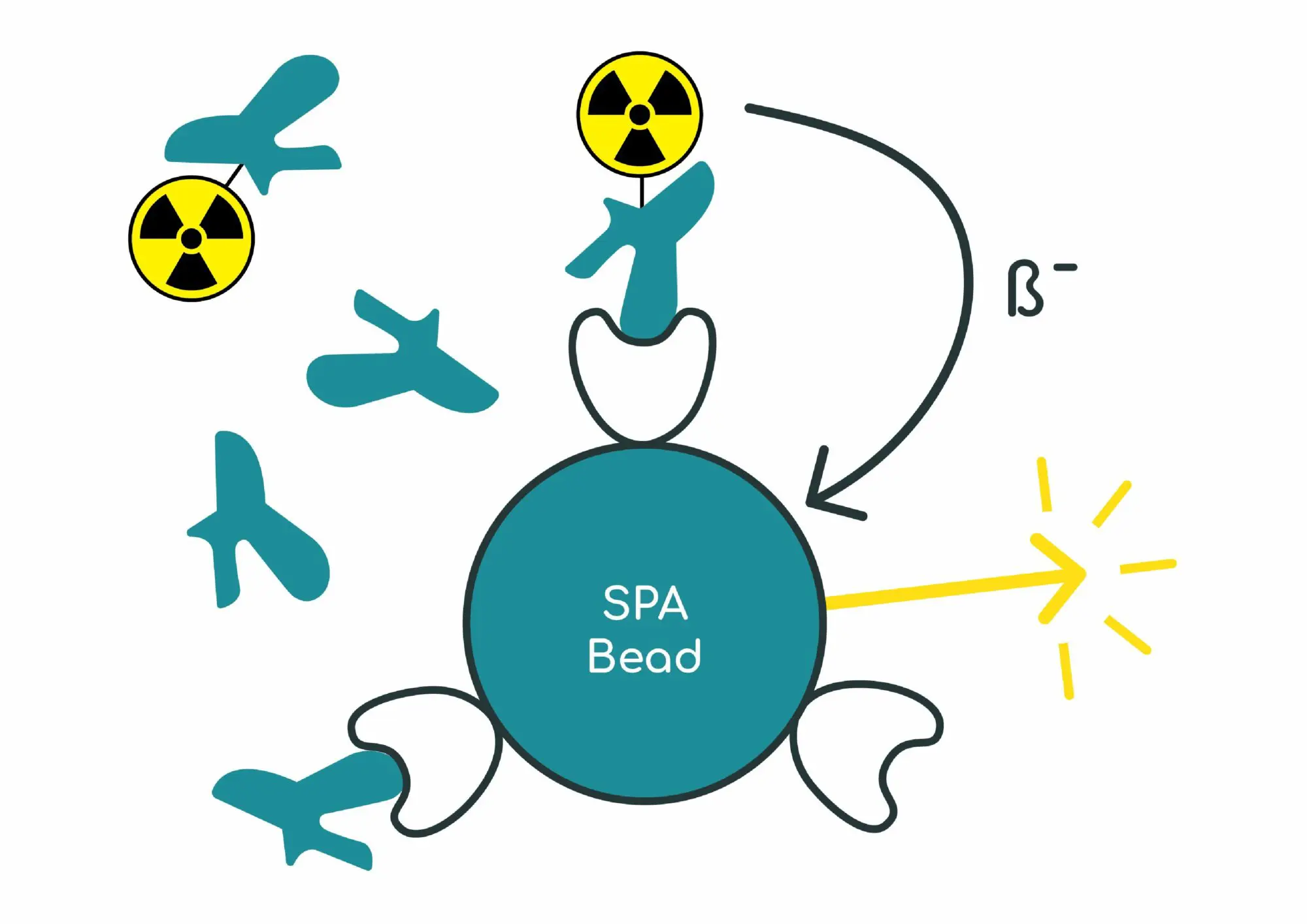 Radioligand Binding Assay | Gifford Bioscience