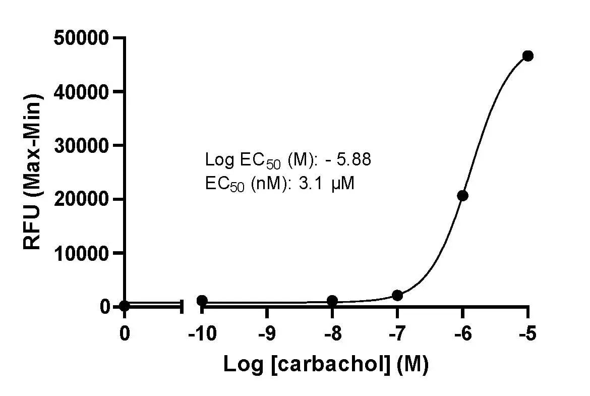 Functional Assays | Gifford Bioscience