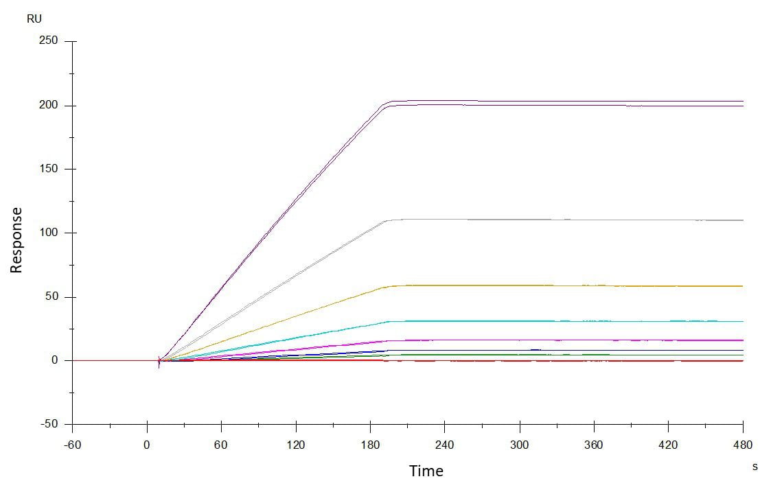 SPR (Biacore) Assay | Gifford Bioscience