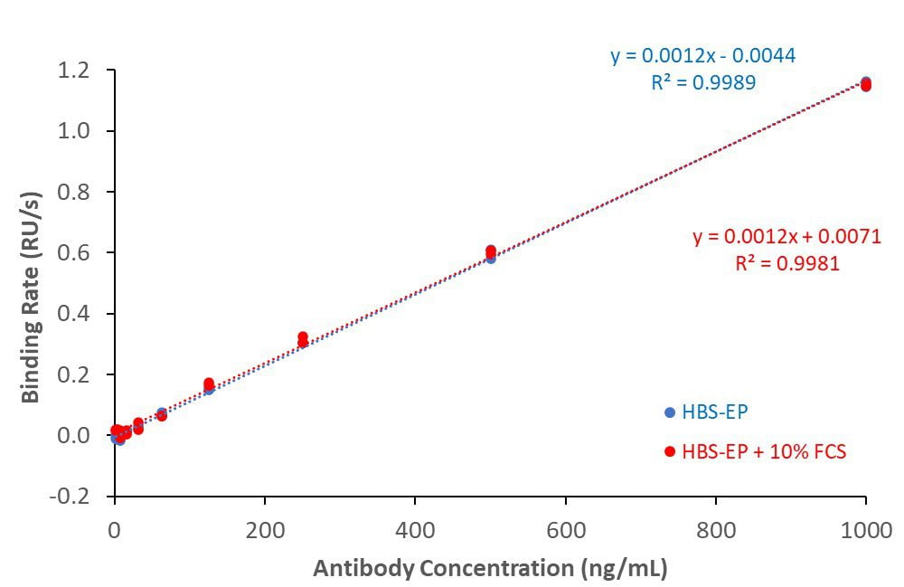 SPR (Biacore) Assay | Gifford Bioscience