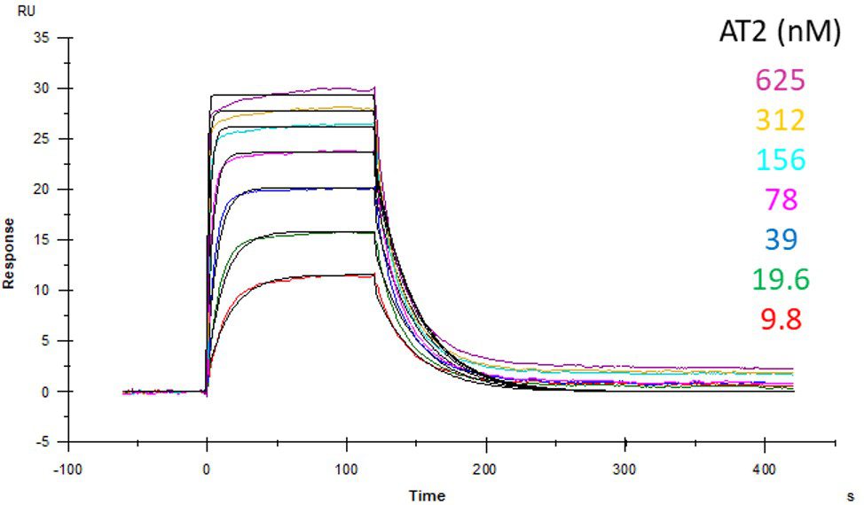 SPR (Biacore) Assay | Gifford Bioscience