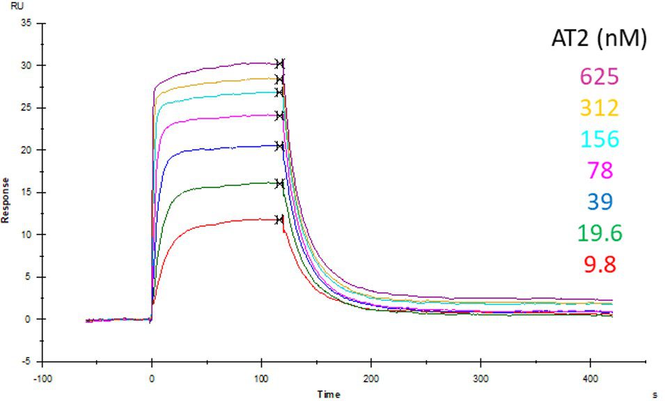 SPR (Biacore) Assay | Gifford Bioscience
